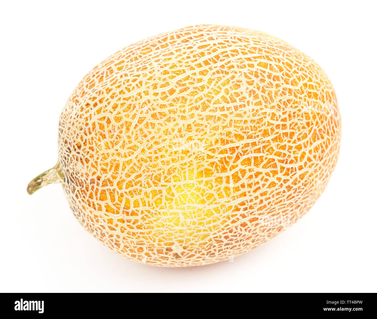 Melon isolated on white Stock Photo - Alamy