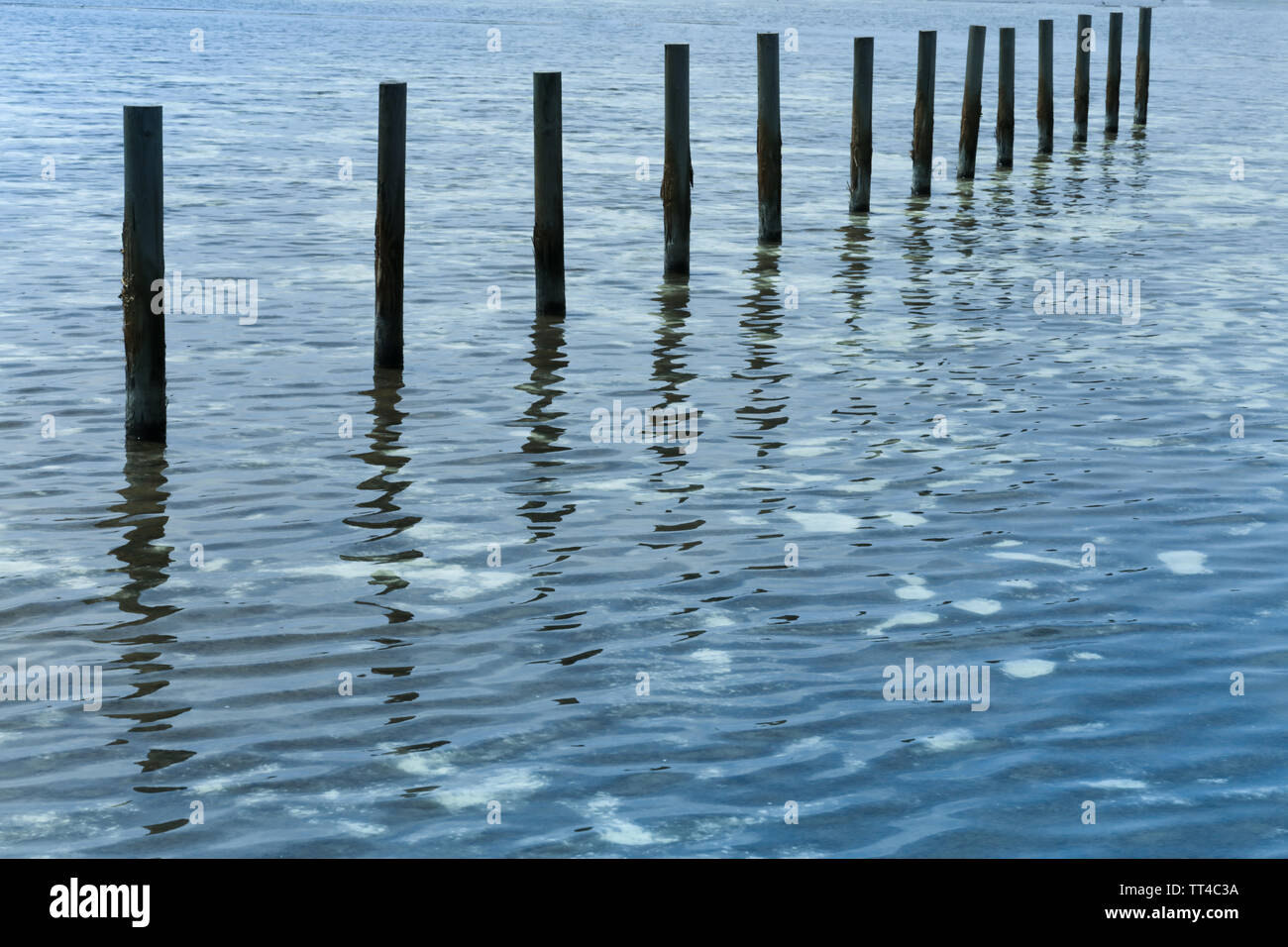 Dark wooden posts in the water. background and copy space Stock Photo ...