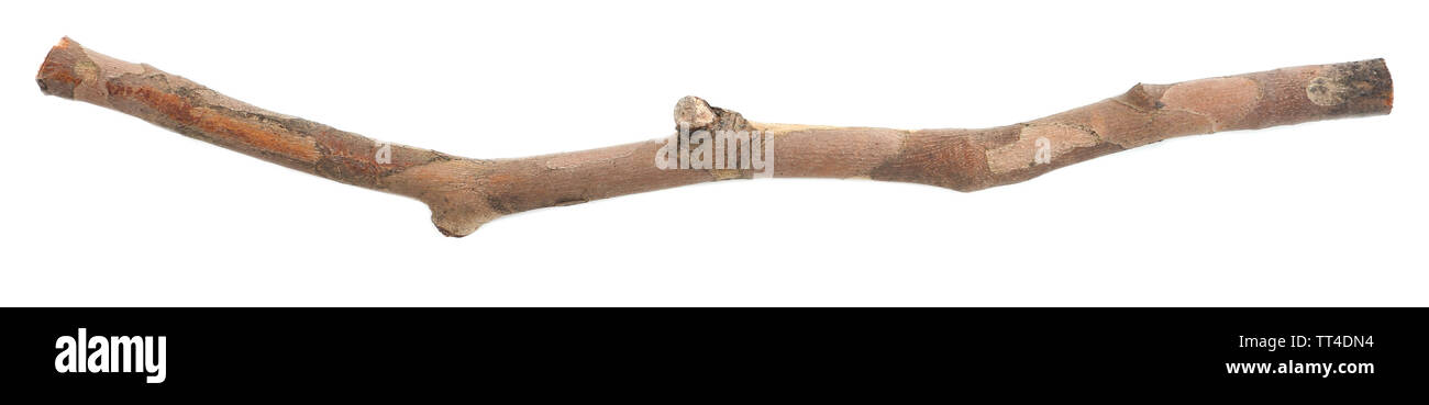 Dry tree branch isolated on white Stock Photo - Alamy