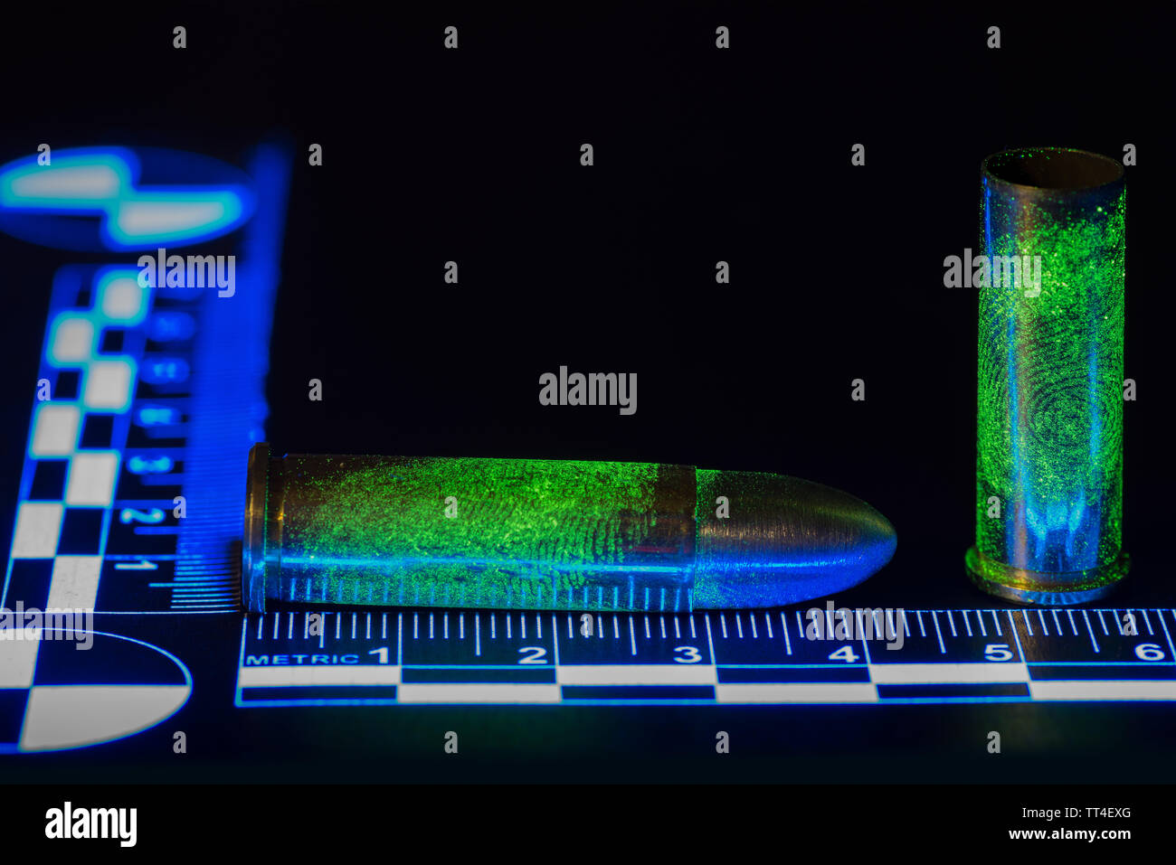 Forensic fluorescent fingerprint evidence on live and dead 0.38 inch ...