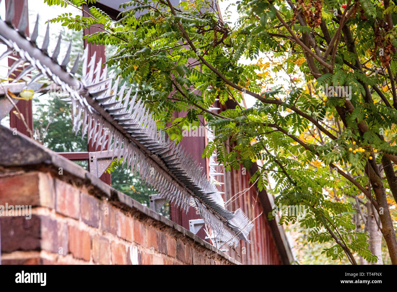 Spiked wall topping Stock Photo - Alamy