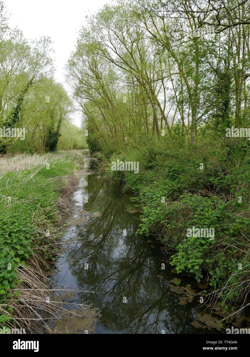 Stodmarsh National Nature Reserve, Kent, England Stock Photo - Alamy