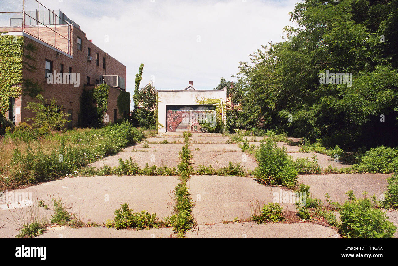 Canarsie brooklyn hi-res stock photography and images - Alamy