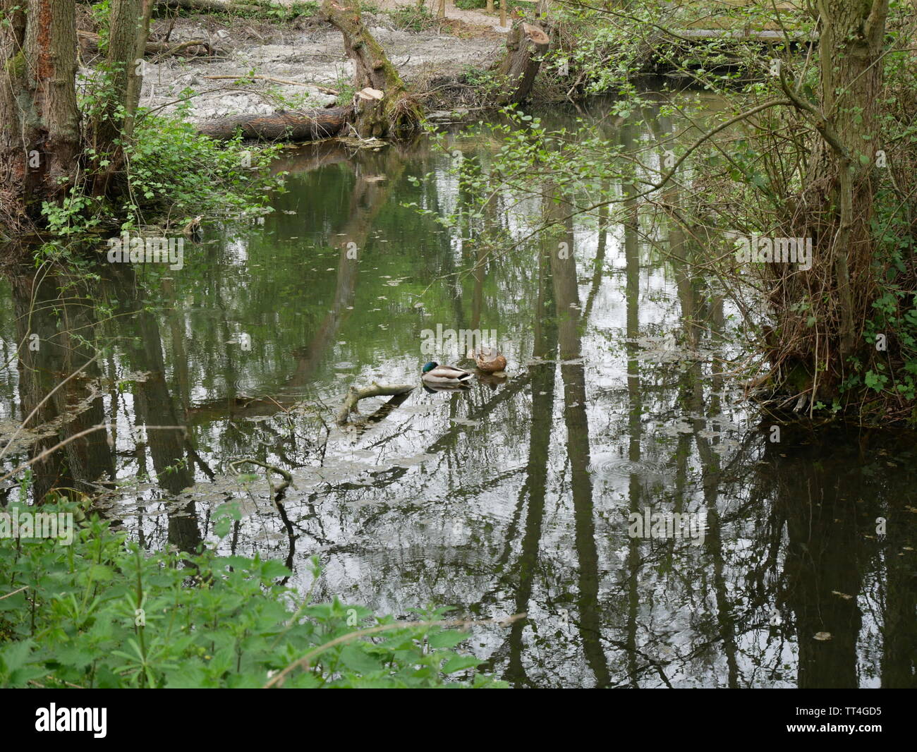 Stodmarsh national nature reserve hi-res stock photography and images ...