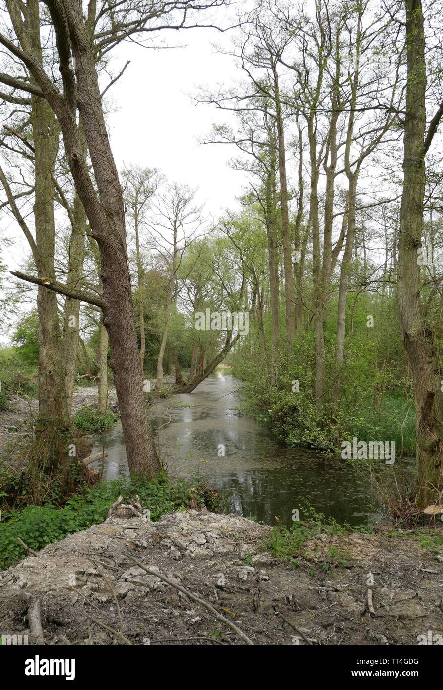 Stodmarsh National Nature Reserve, Kent, England Stock Photo - Alamy