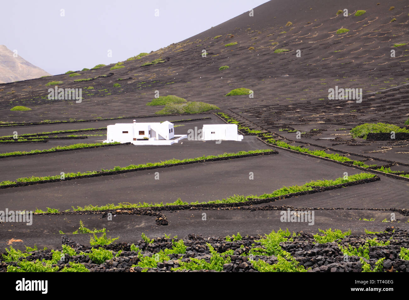 Volcanic ash farm hi-res stock photography and images - Alamy
