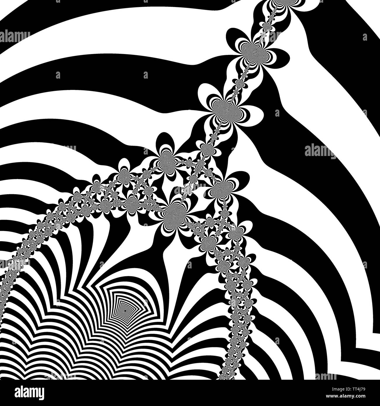 An image created using computer graphics of a mathematical object ...