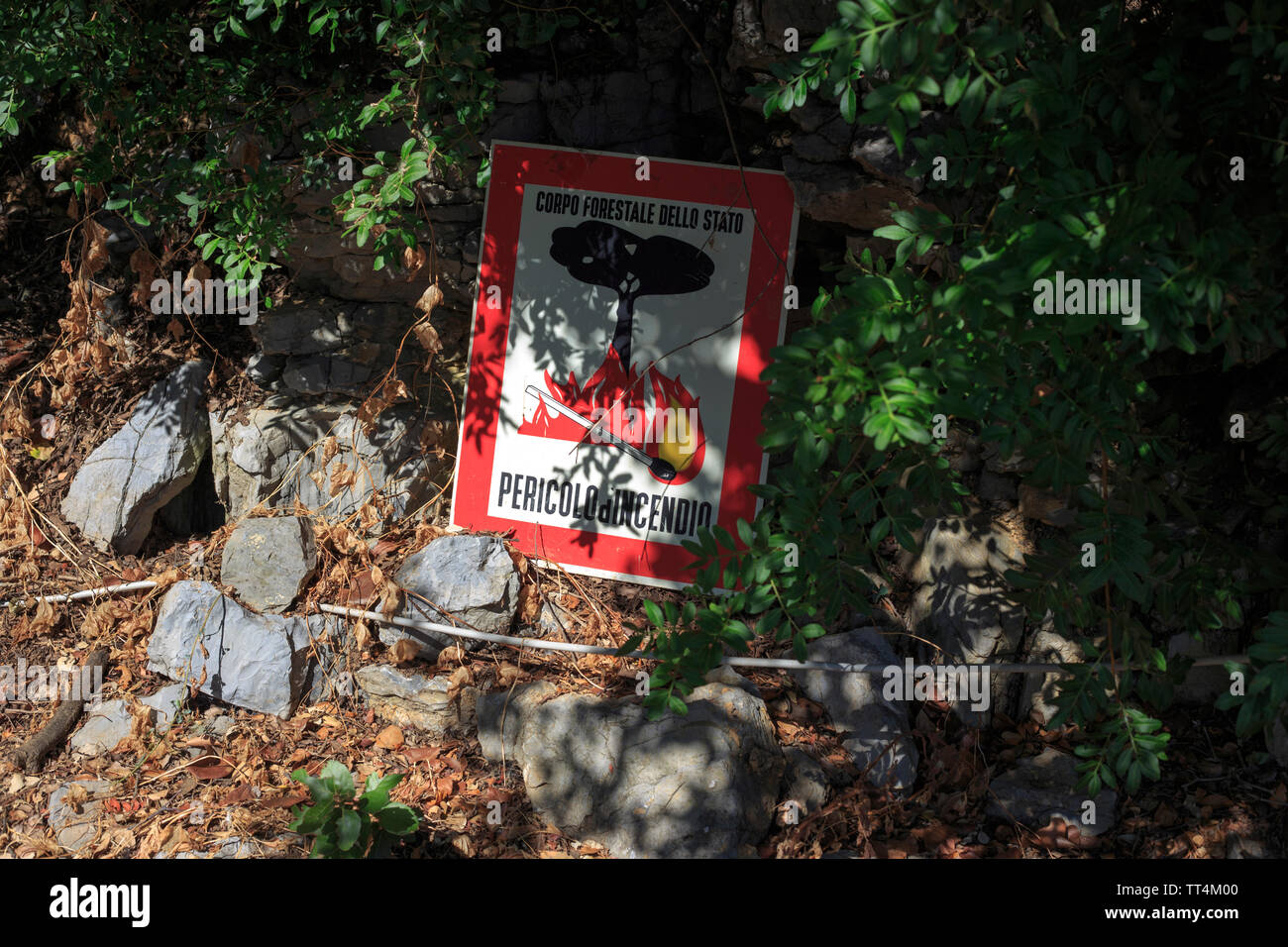 No Fires sign in the wood Stock Photo - Alamy