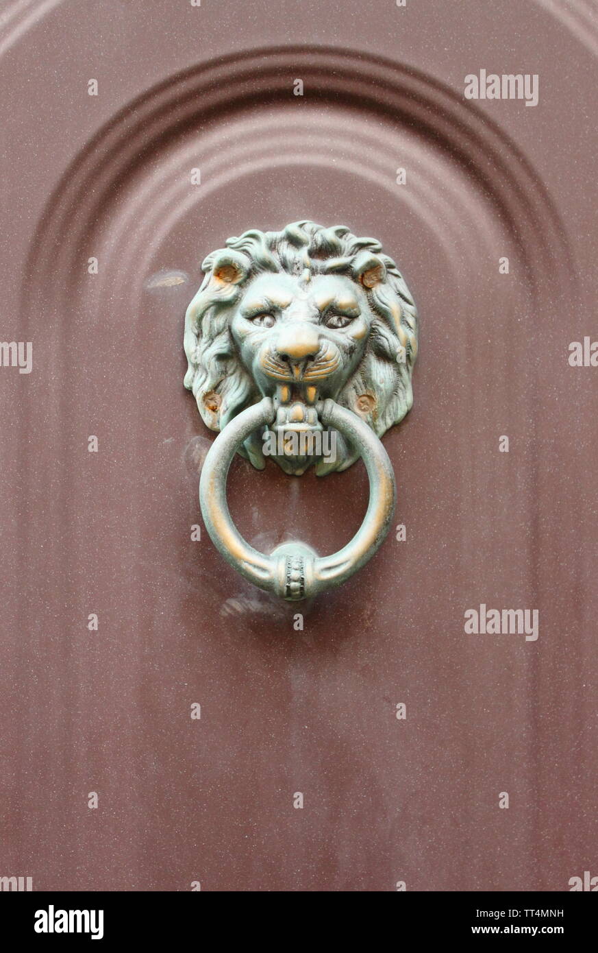 Bronze lion head knocker on a wooden door Stock Photo - Alamy