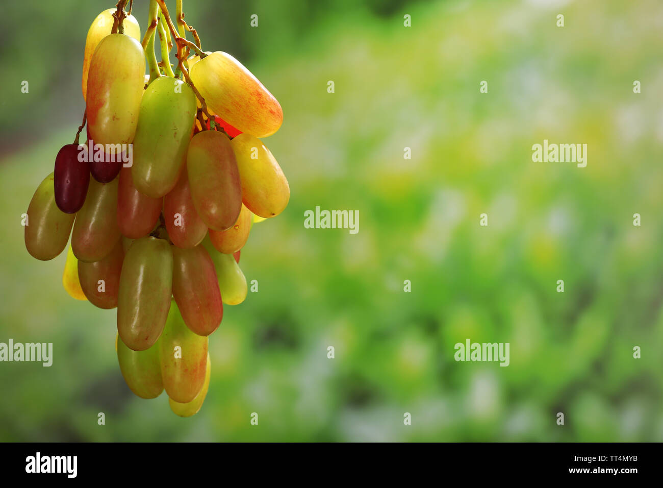 Grape on natural background Stock Photo - Alamy