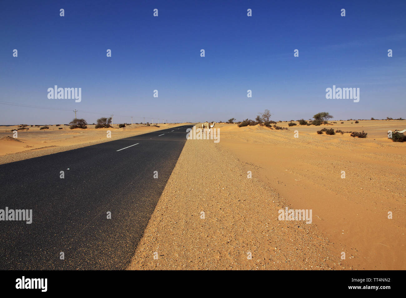 Sahara desert in Sudan, Africa Stock Photo - Alamy