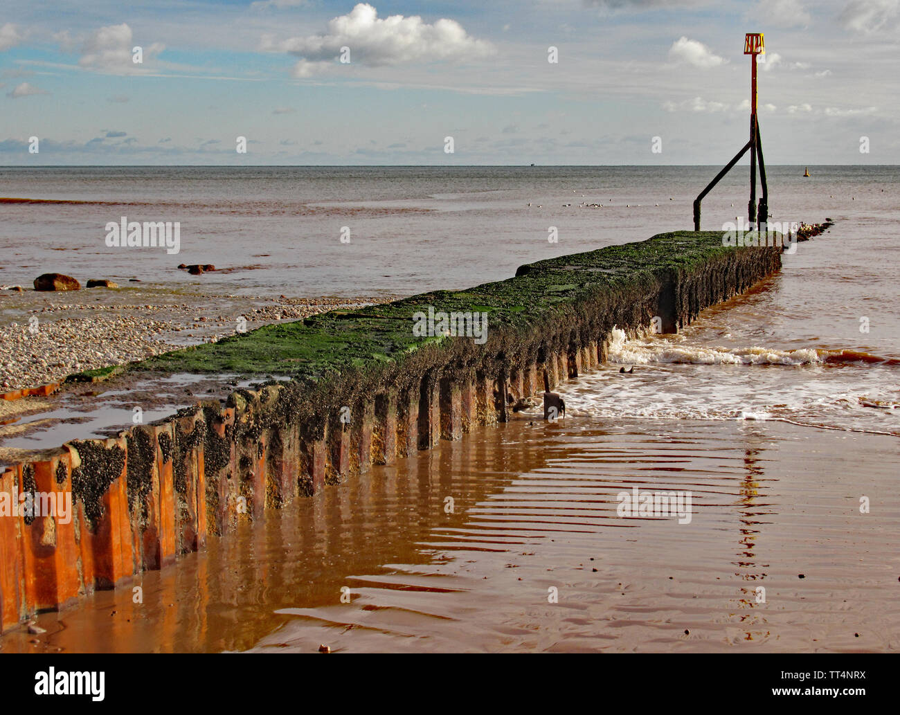 Metal breakwater on the beach at Sidmouth in Devon Stock Photo - Alamy