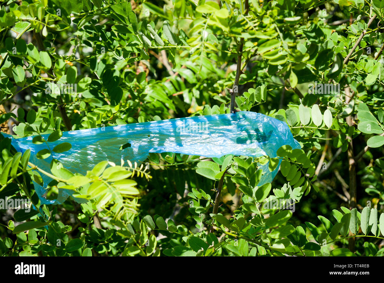 Pollution, remains of plastic film packaging, France Stock Photo - Alamy