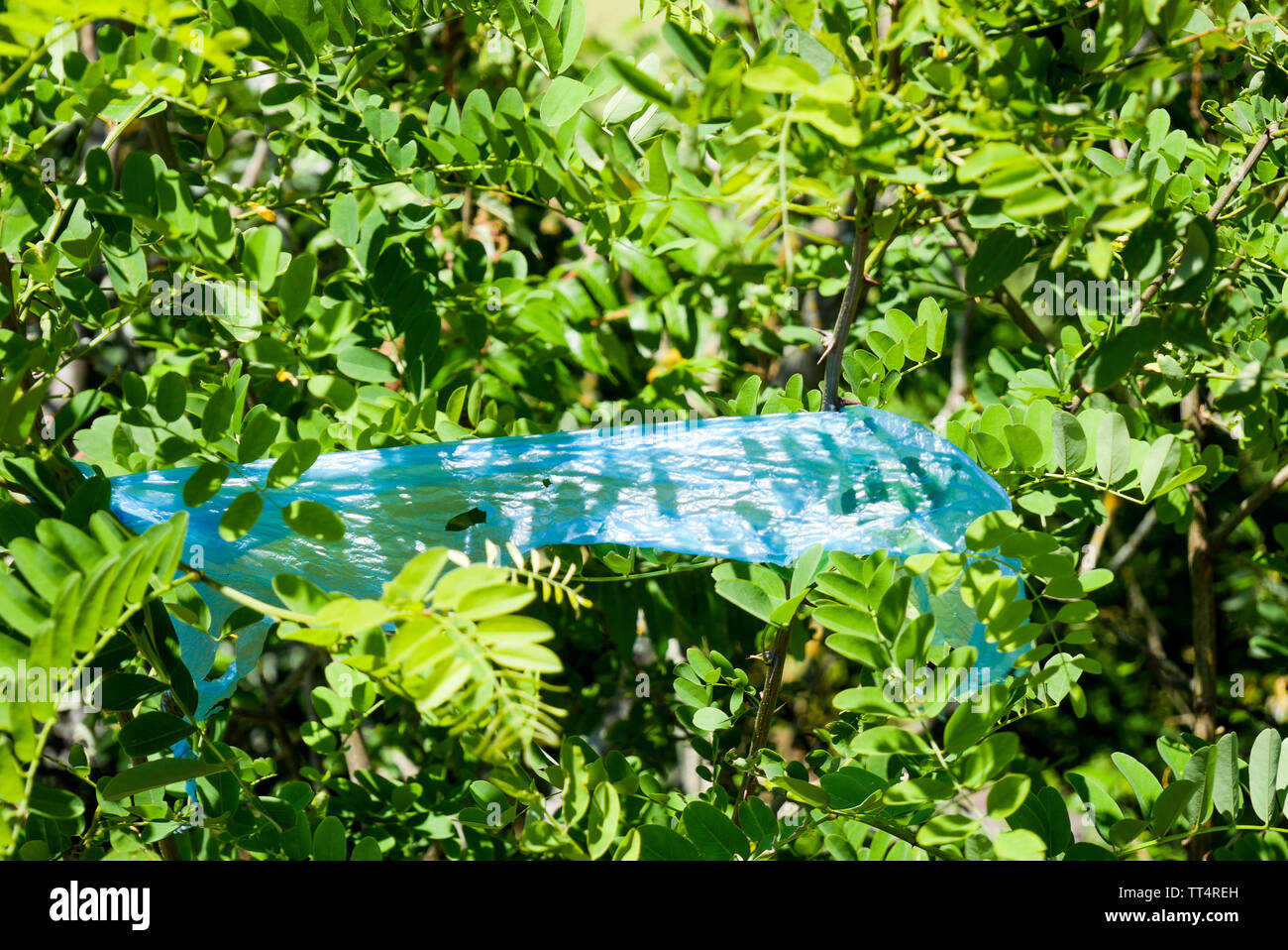 Pollution, remains of plastic film packaging, France Stock Photo - Alamy