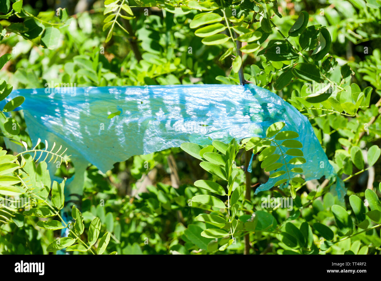 Pollution, remains of plastic film packaging, France Stock Photo - Alamy