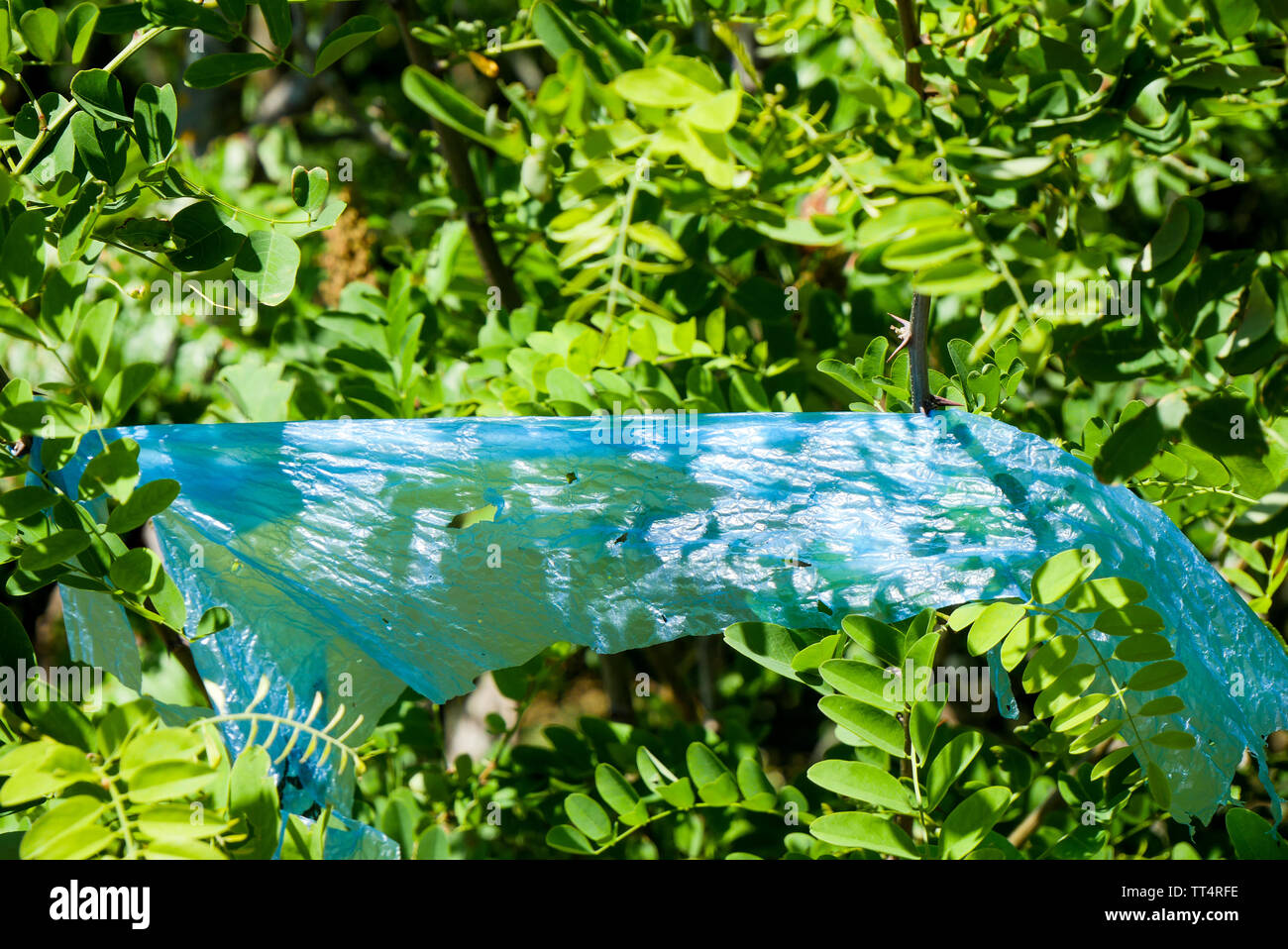 Pollution, remains of plastic film packaging, France Stock Photo - Alamy
