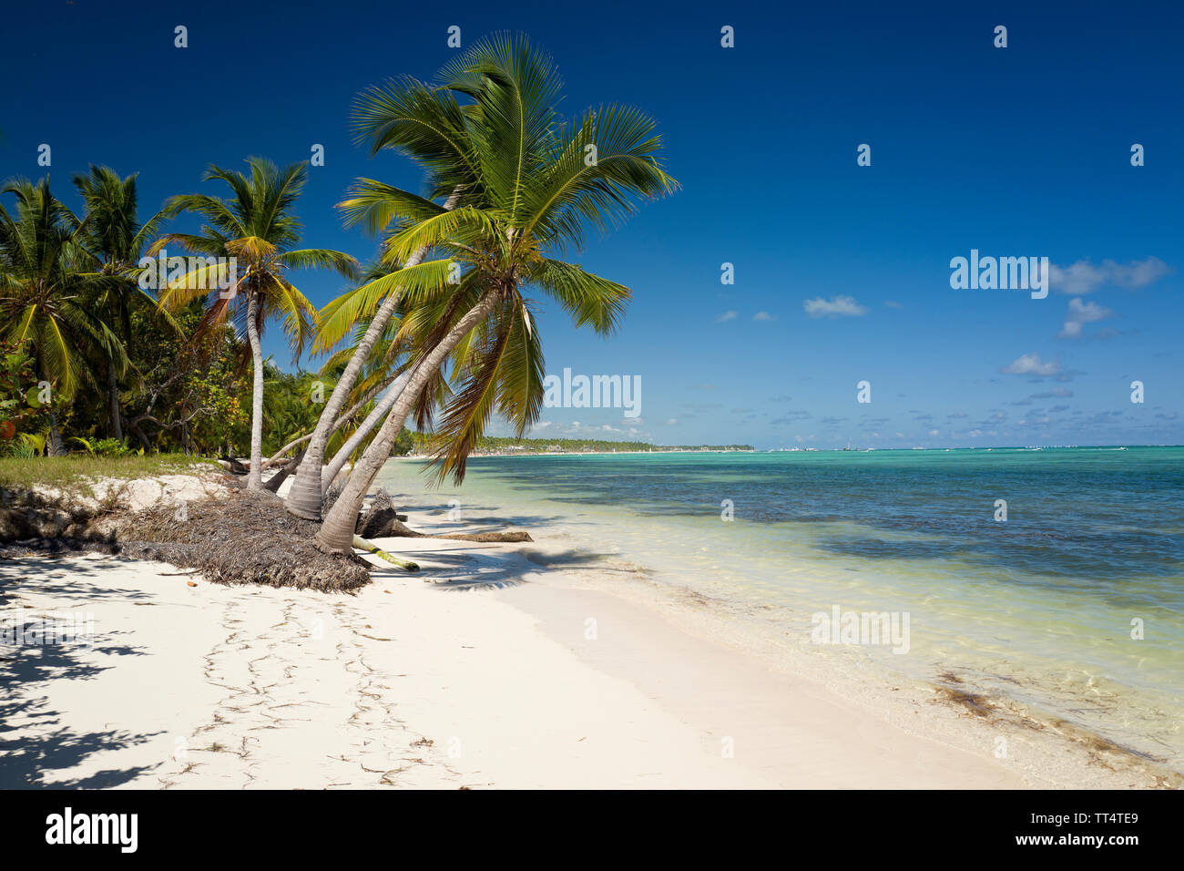 Bavaro Beach Dominican Republic Stock Photo - Alamy
