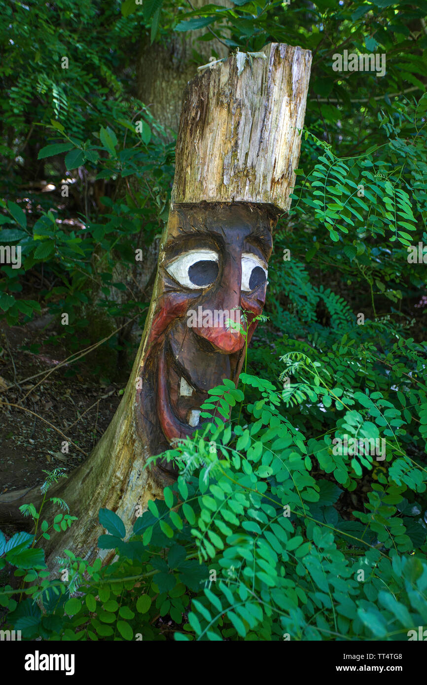 Ghosts in the forest hi-res stock photography and images - Alamy