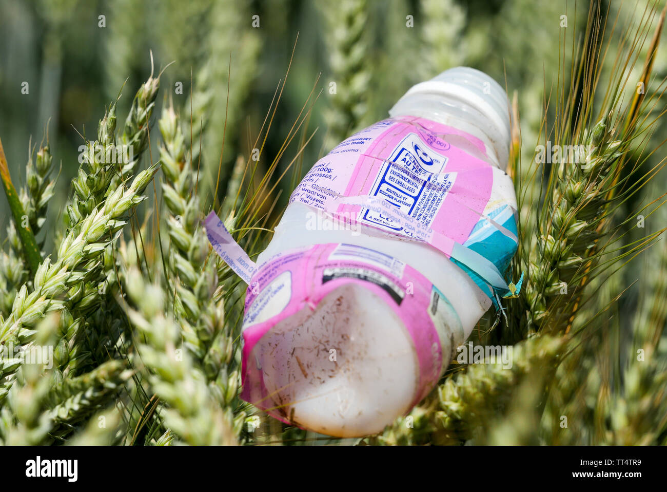 Plastic bottle in a corn field hi-res stock photography and images - Alamy