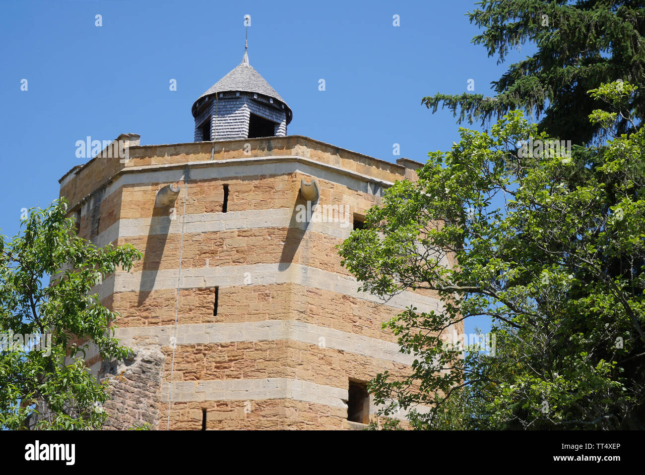 Castle, Trévoux, Rhône, AURA region, France Stock Photo - Alamy