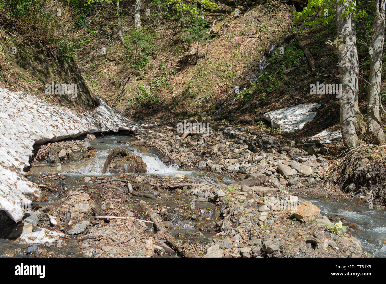 Spring landscape. The Creek at the bottom of the ravine Stock Photo - Alamy