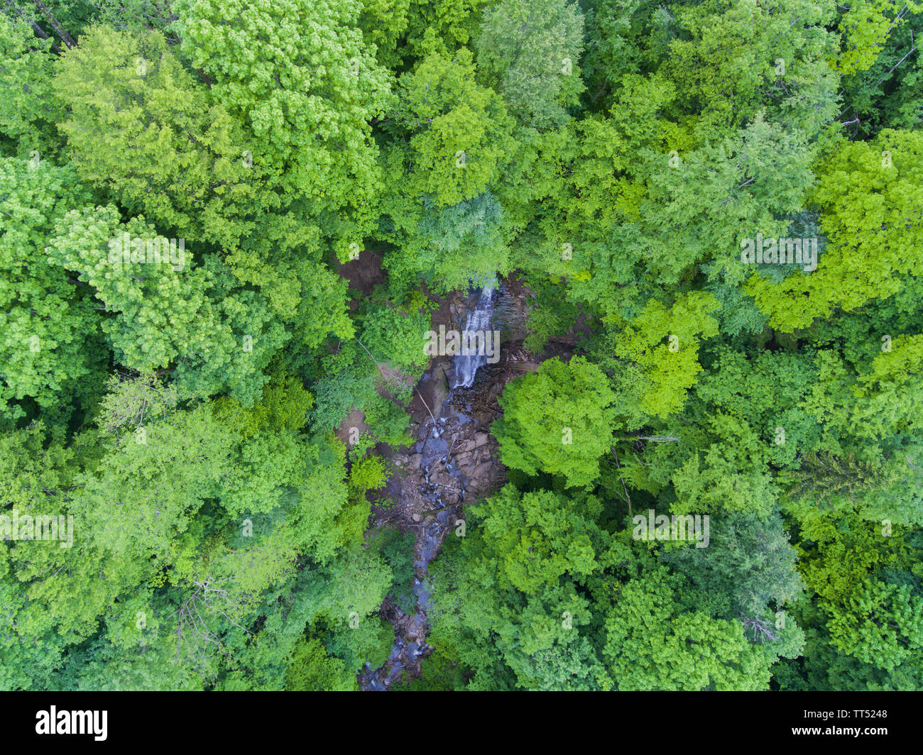 Hidden in the forest waterfall. Aerial top view. Drone photo Stock ...