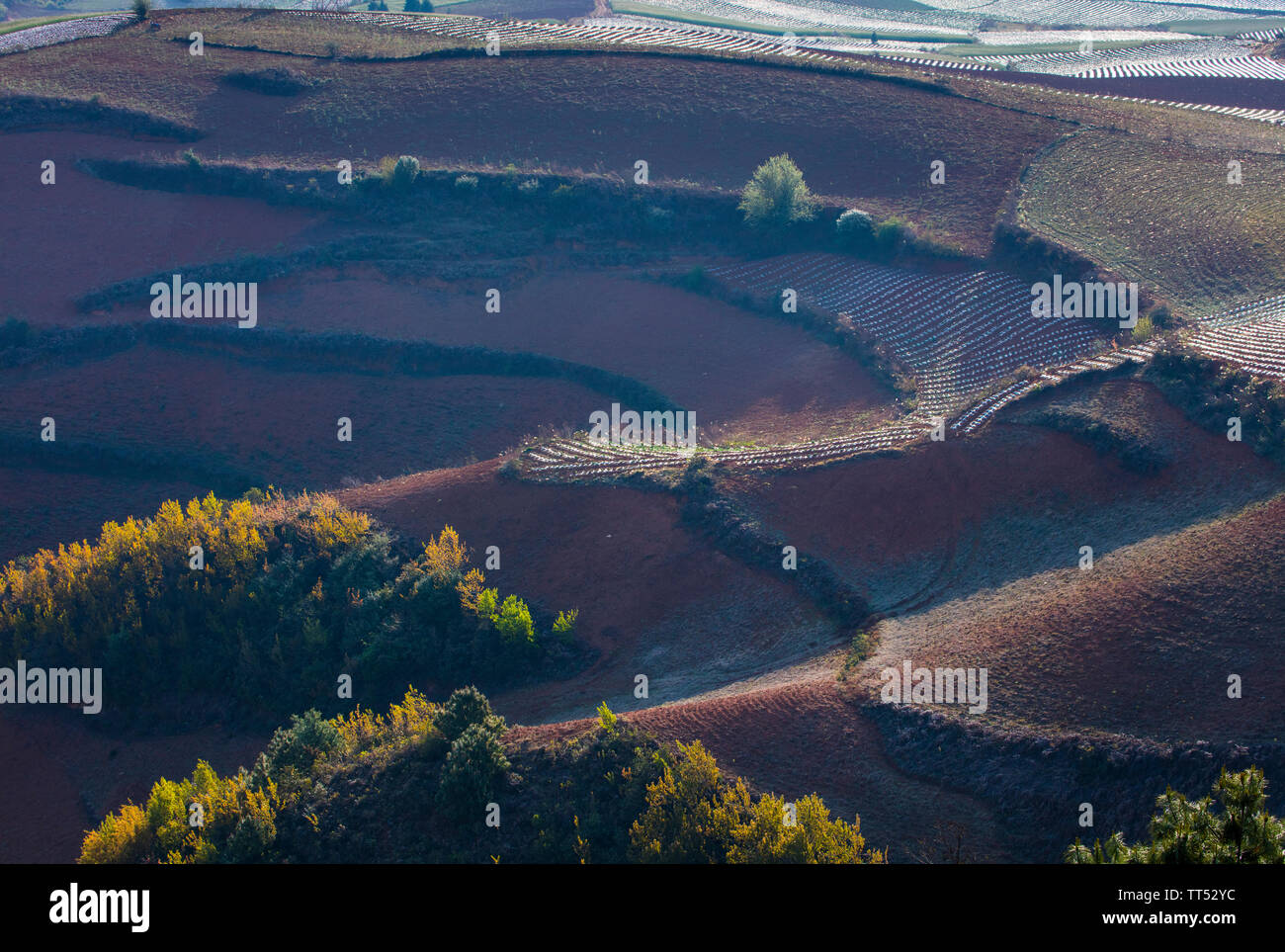 Agricultural landscape on springtime, Red Lands landscape, Dongchuan ...