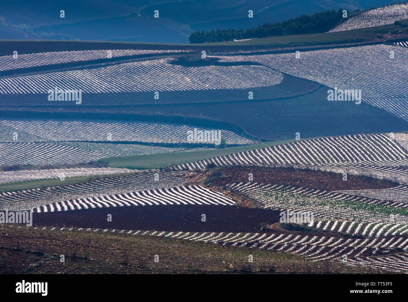 Agricultural landscape on springtime, Red Lands landscape, Dongchuan ...