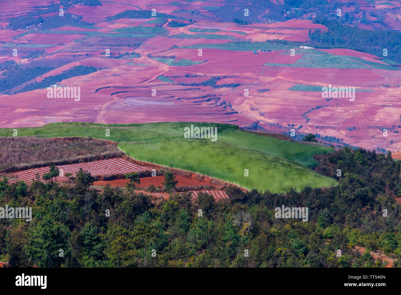 Agricultural landscape on springtime, Red Lands landscape, Dongchuan ...