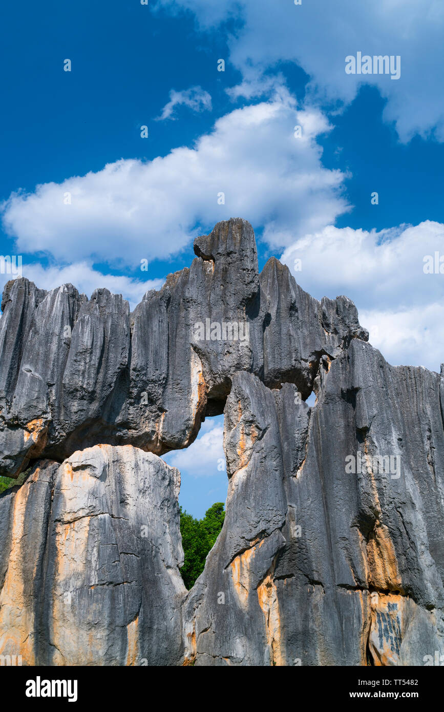 Tall rocks formations of limestone, The Stone Forest, Shilin Yi ...