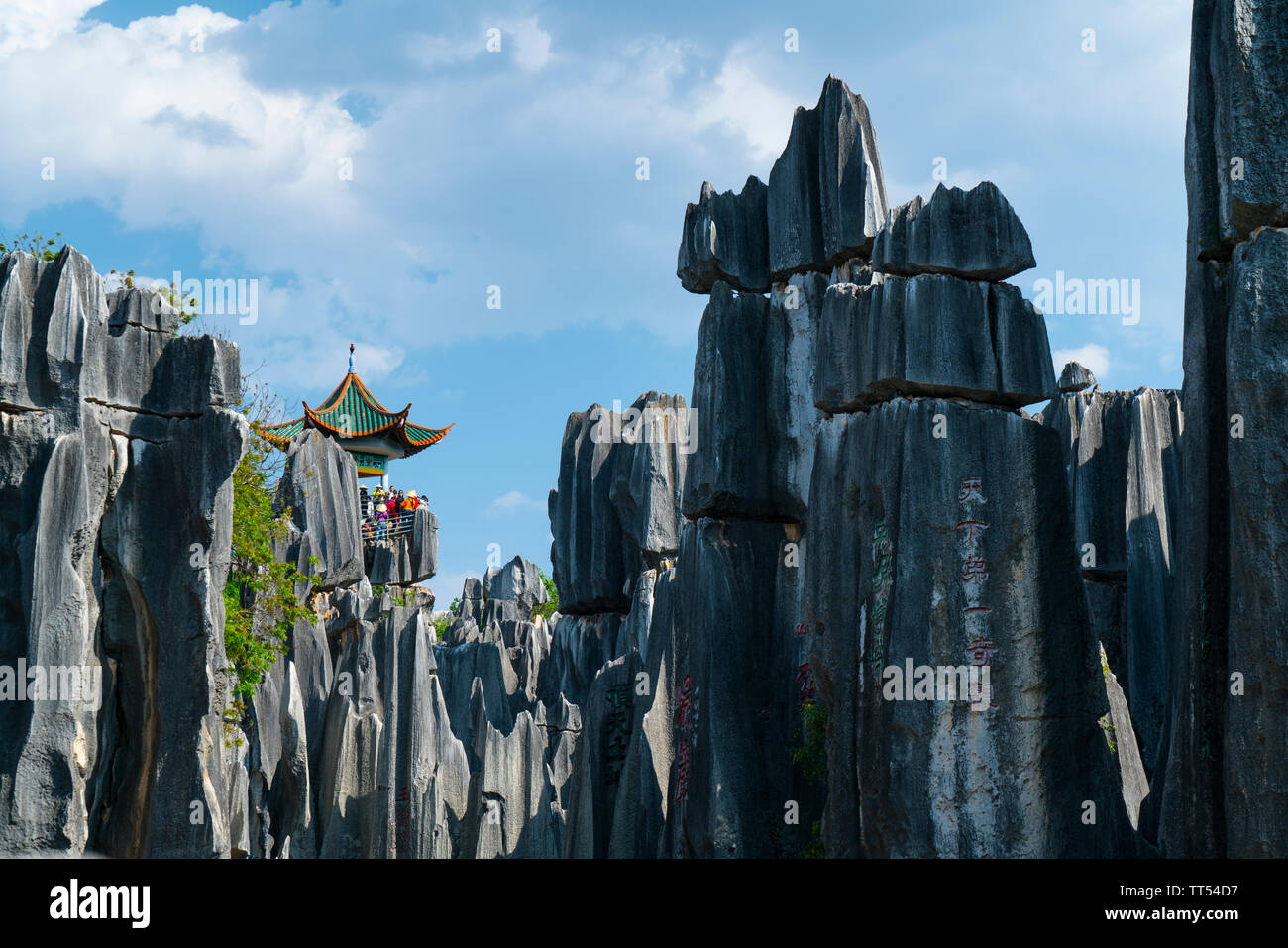 Tall rocks formations of limestone, The Stone Forest, Shilin Yi ...