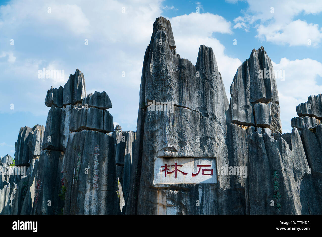Tall rocks formations of limestone, The Stone Forest, Shilin Yi ...