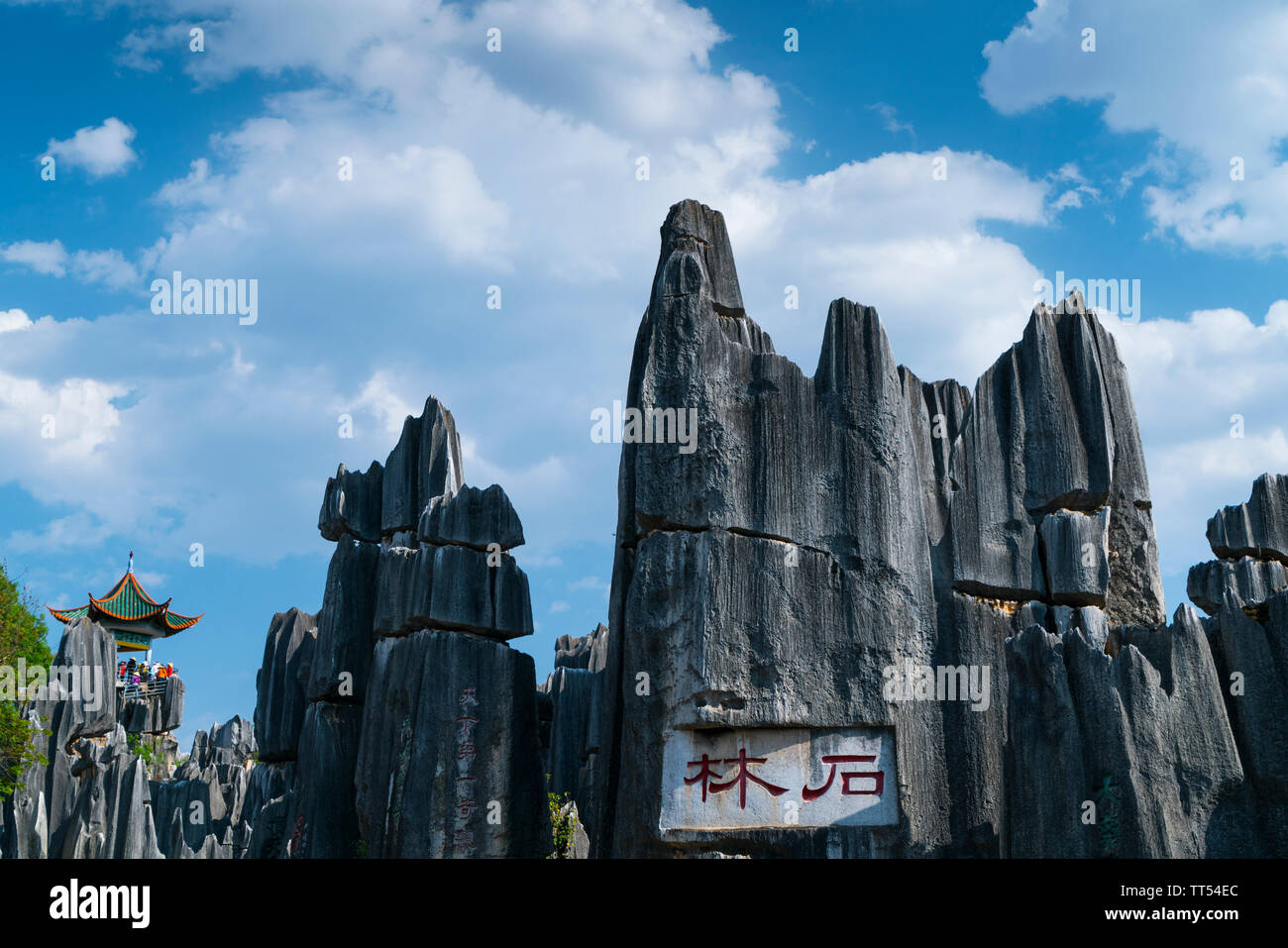 Tall rocks formations of limestone, The Stone Forest, Shilin Yi ...