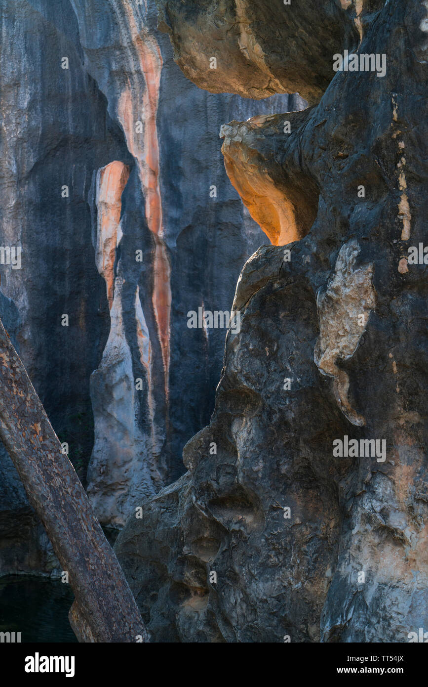 Erosion in limestones rocks, The Stone Forest, Shilin Yi Autonomous ...