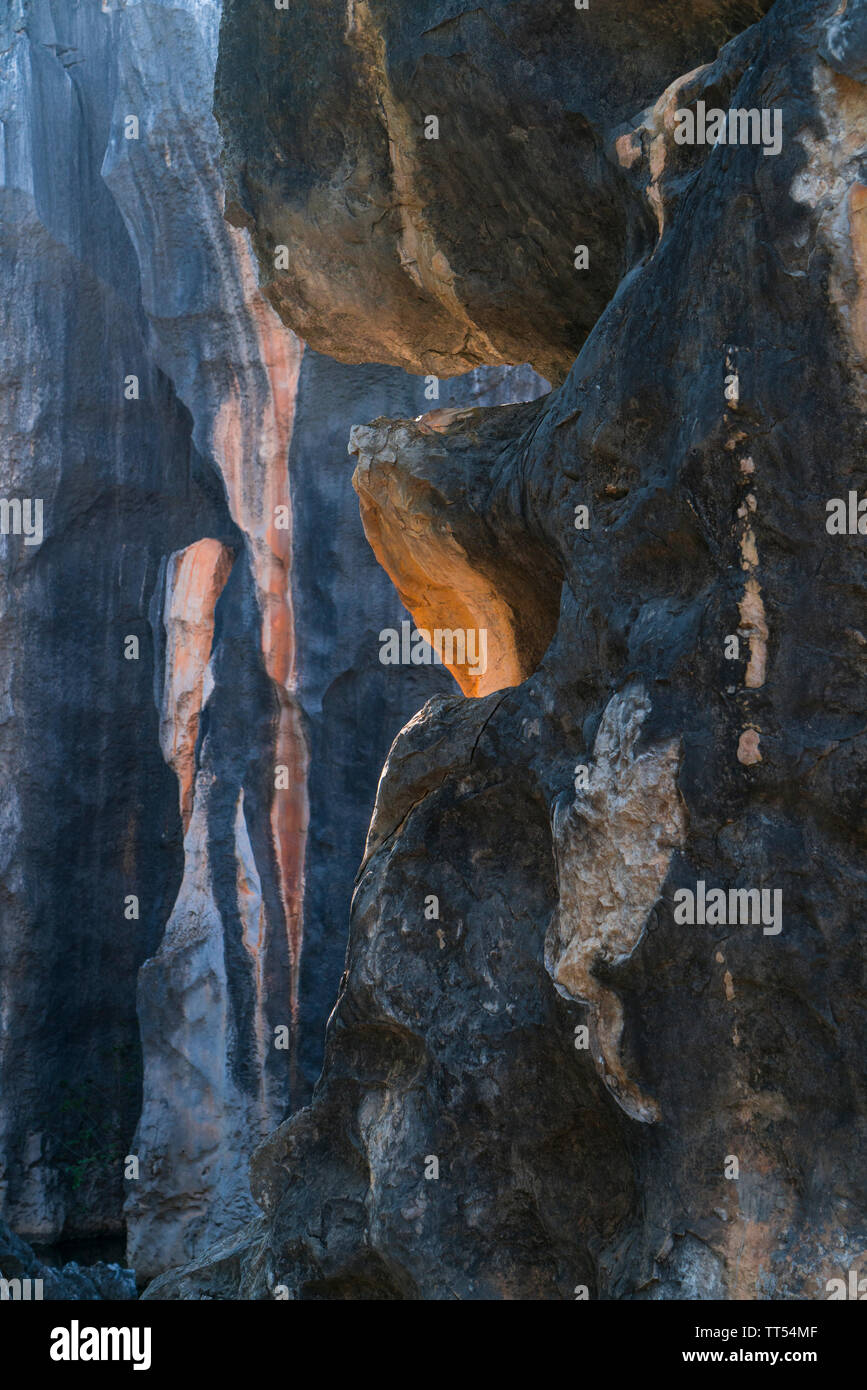 Erosion in limestones rocks, The Stone Forest, Shilin Yi Autonomous ...