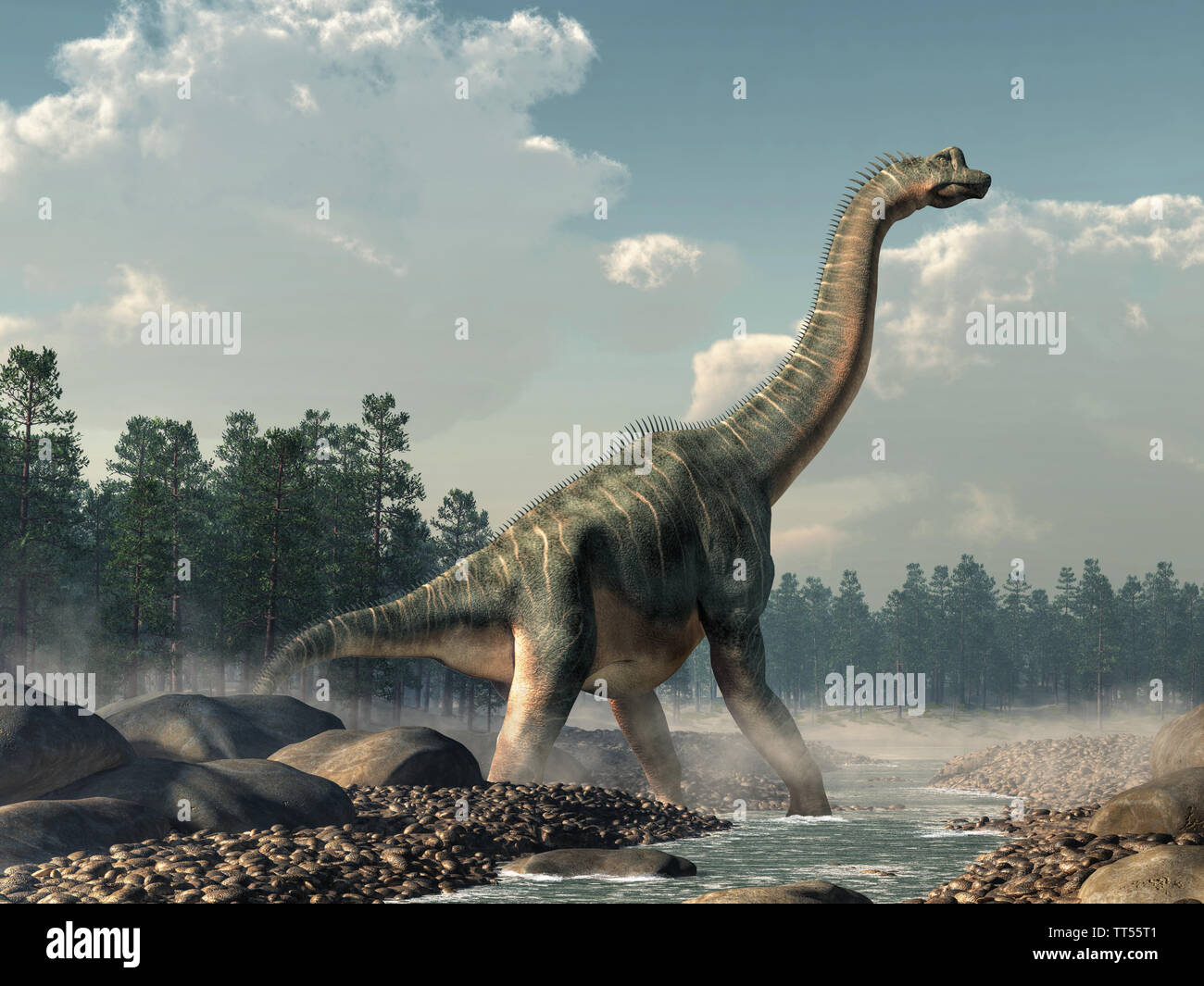 Sauroposeidon hi-res stock photography and images - Alamy