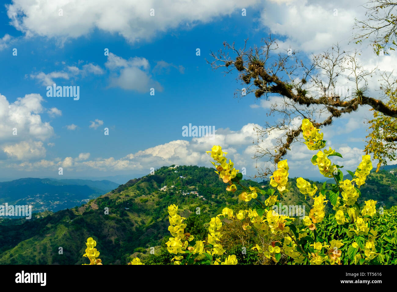 Rural jamaica hi-res stock photography and images - Alamy