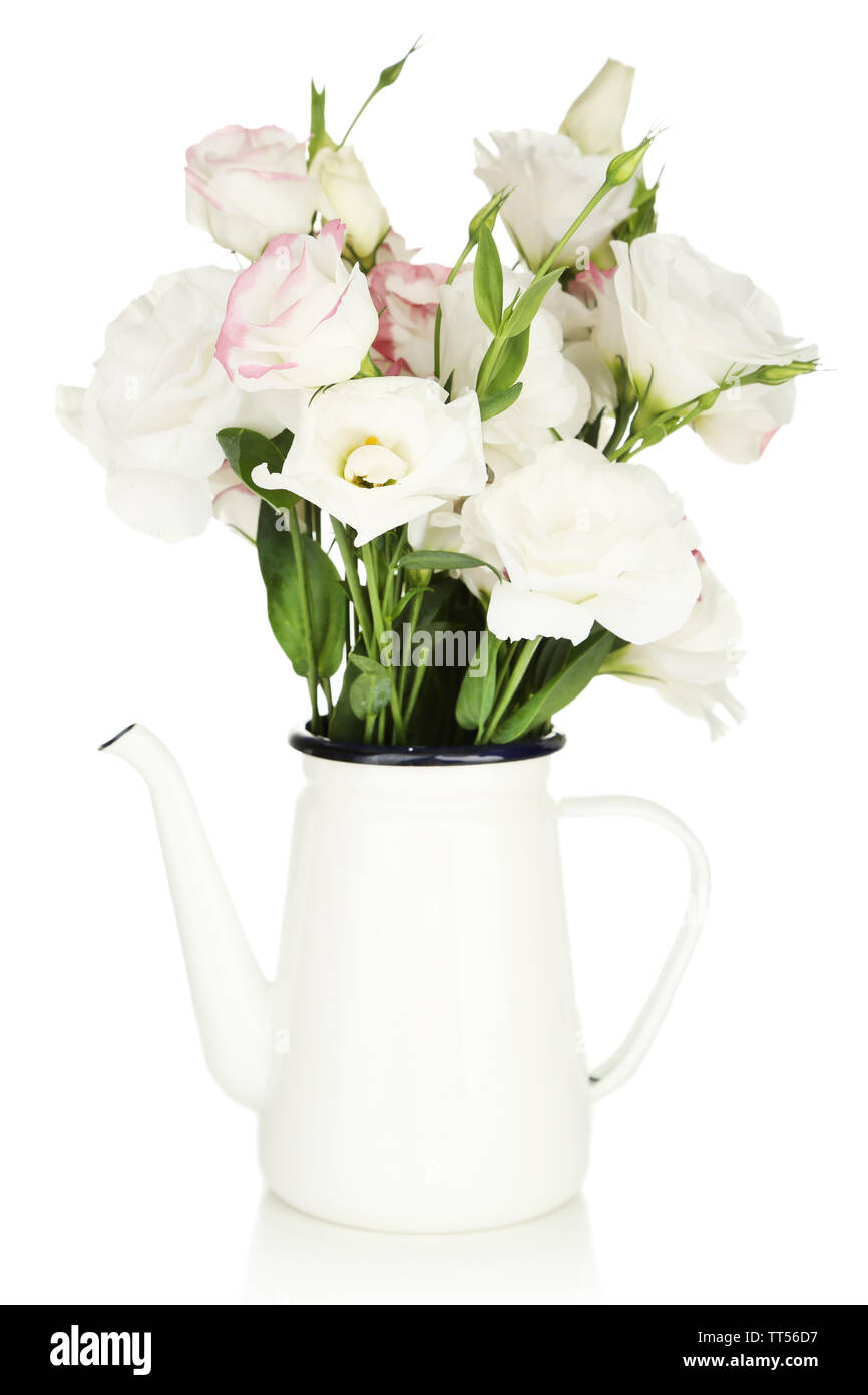 Teapot fresh flowers on Cut Out Stock Images & Pictures - Alamy