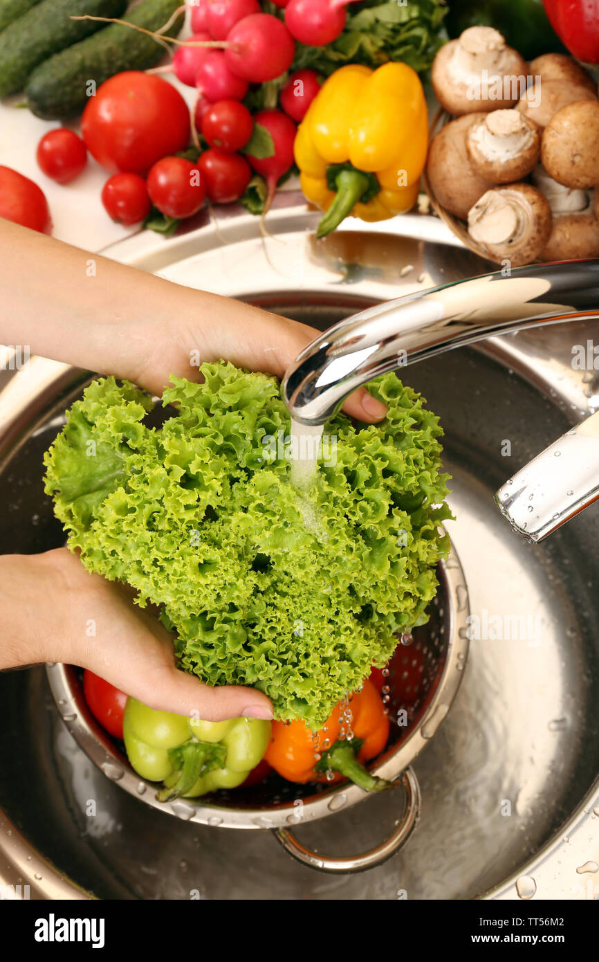 Woman's hands washing vegetables in sink in kitchen Stock Photo - Alamy