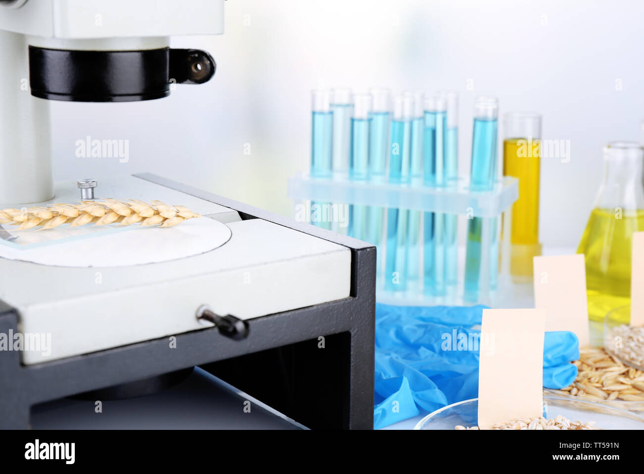 Microbiological testing for food quality at biochemistry laboratory ...