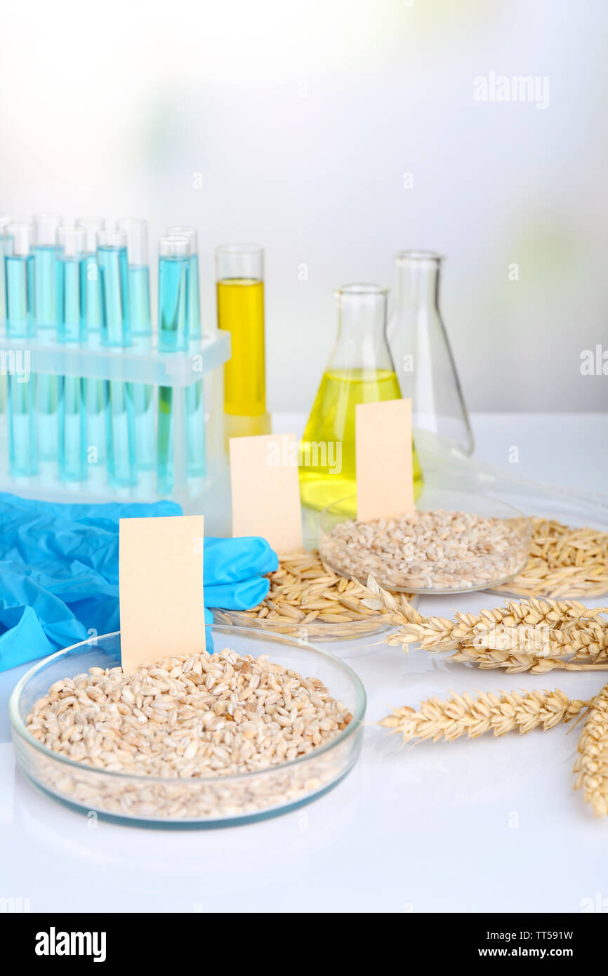 Microbiological testing for food quality at biochemistry laboratory ...