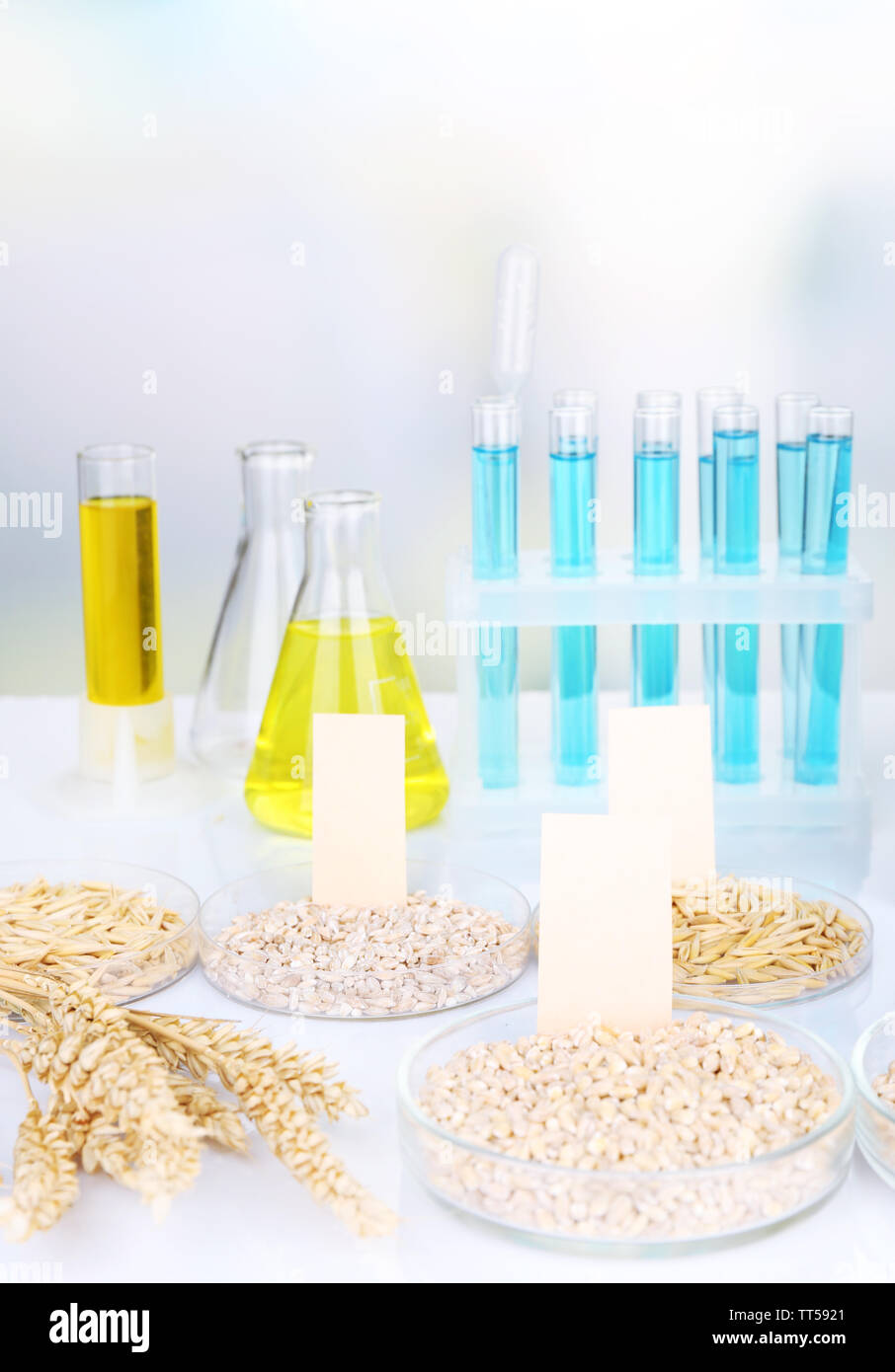 Microbiological testing for food quality at biochemistry laboratory ...