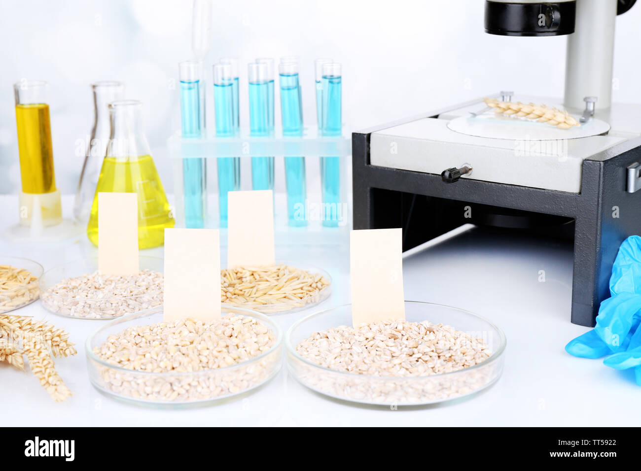 Microbiological testing for food quality at biochemistry laboratory ...