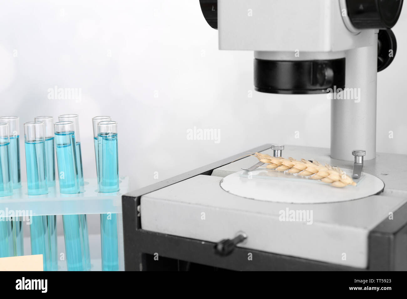 Microbiological testing for food quality at biochemistry laboratory ...