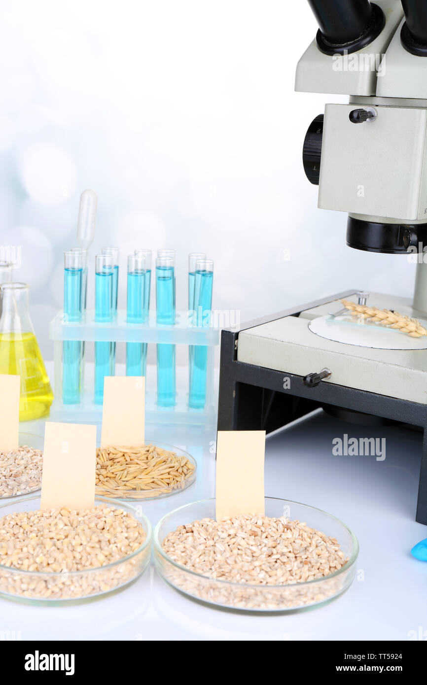 Microbiological testing for food quality at biochemistry laboratory ...