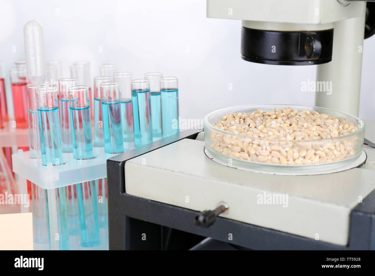 Microbiological testing for food quality at biochemistry laboratory ...