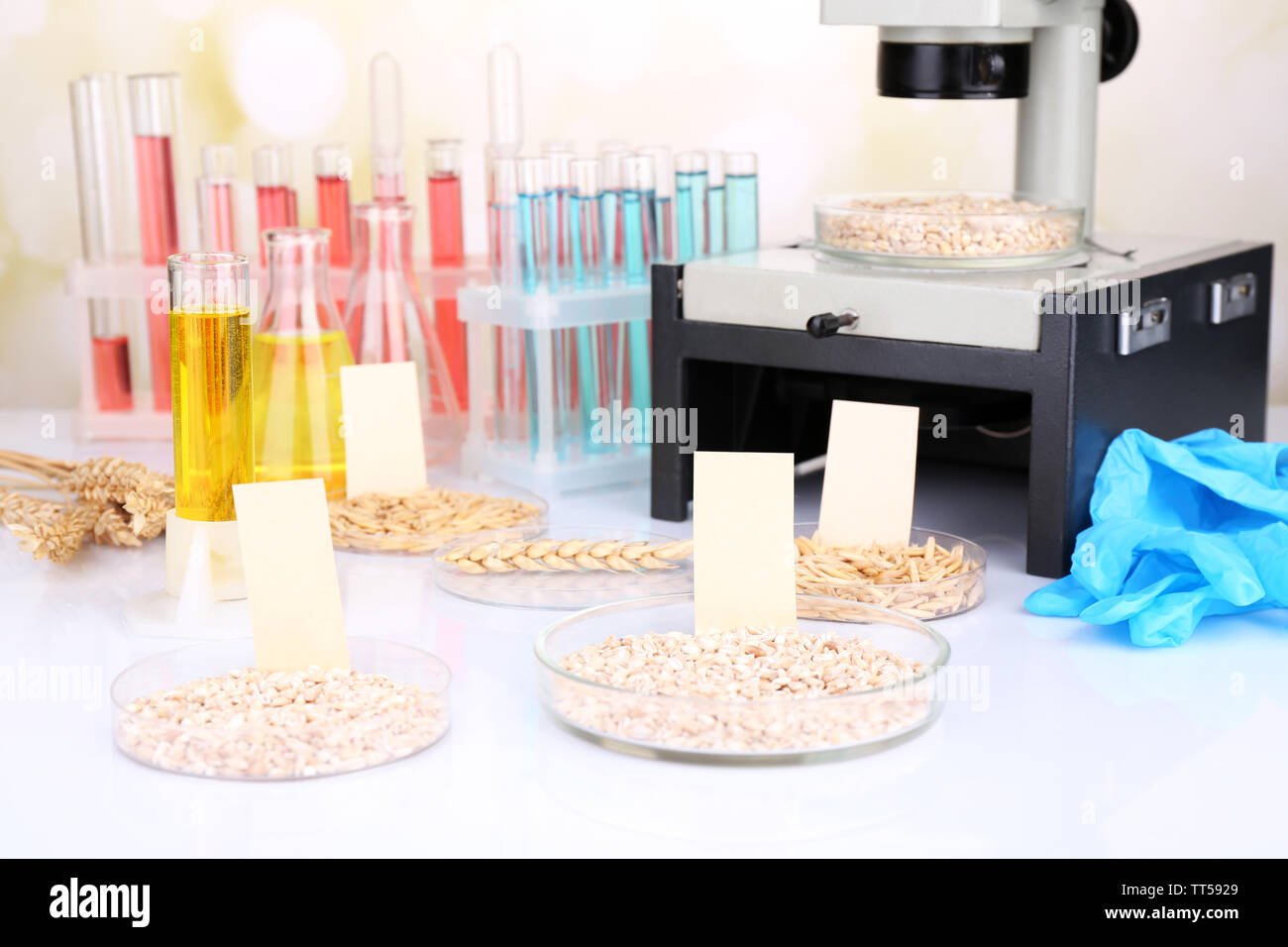 Microbiological testing for food quality at biochemistry laboratory ...