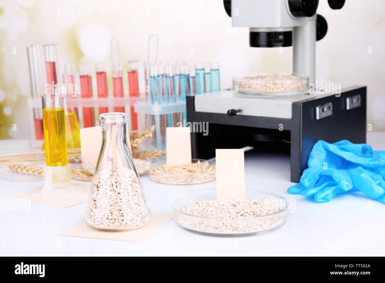 Microbiological testing for food quality at biochemistry laboratory ...