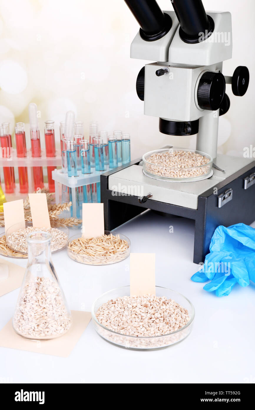 Microbiological testing for food quality at biochemistry laboratory ...