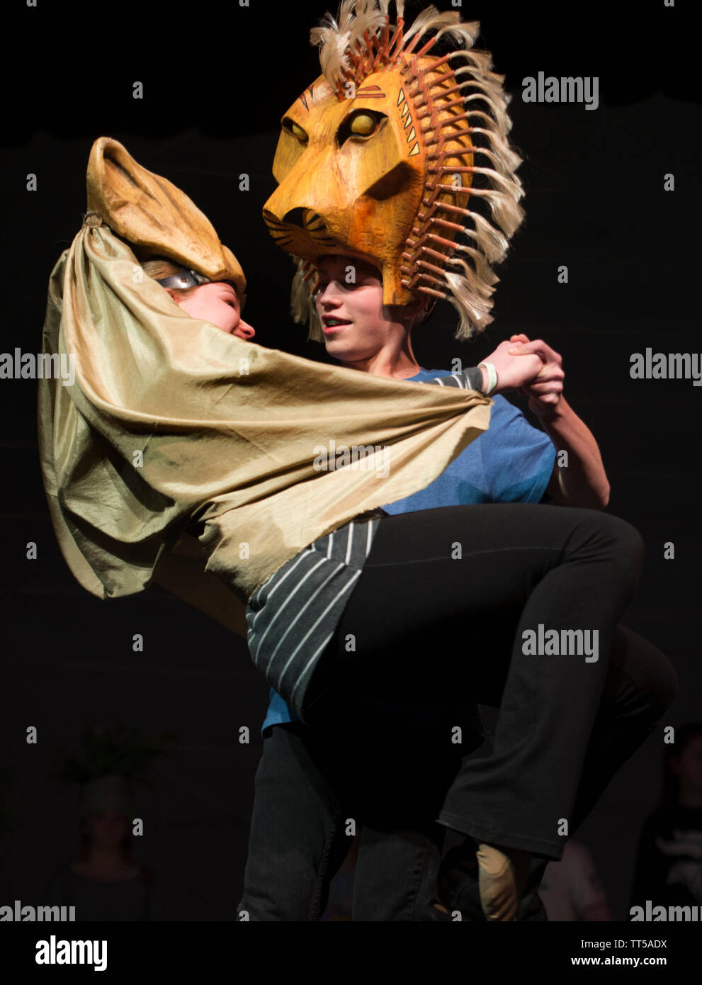 The lion king simba and nala hi-res stock photography and images - Alamy